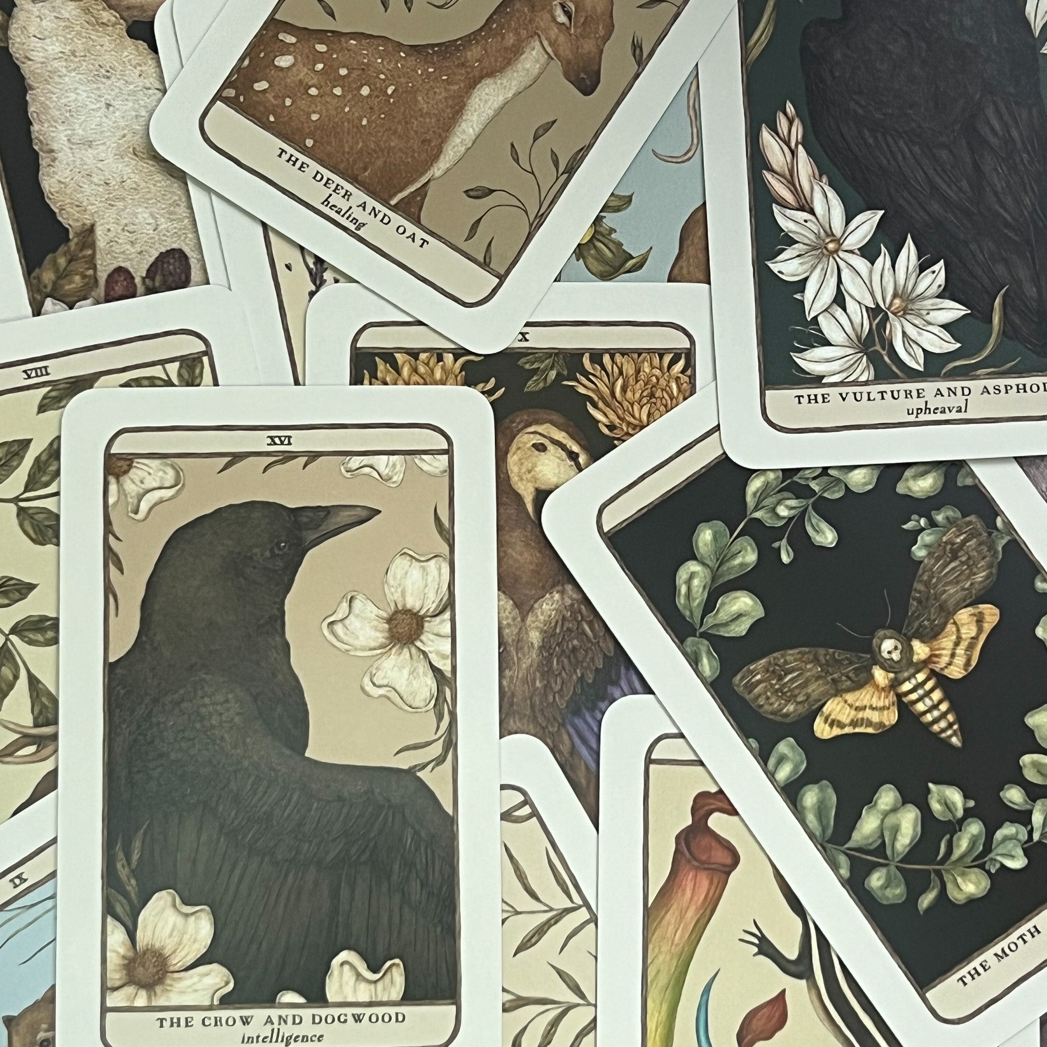 Oracle Decks – The Empress by Altar Space